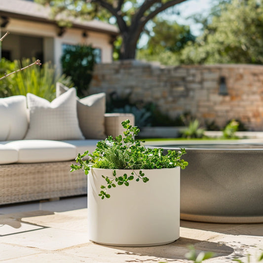 Planters – Carbon Designs